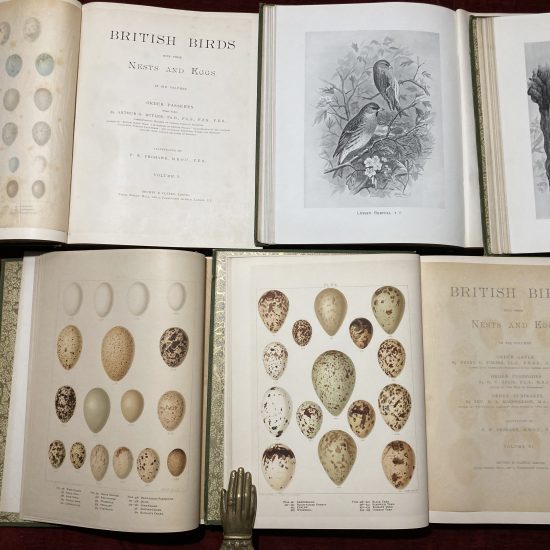 Antique Natural Sciences Books | Rare Illustrated Editions