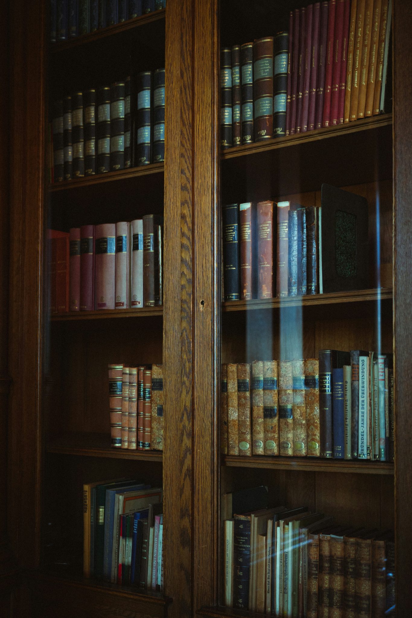 How to get the musty smell out of books? | Easy Odor Removal Tips