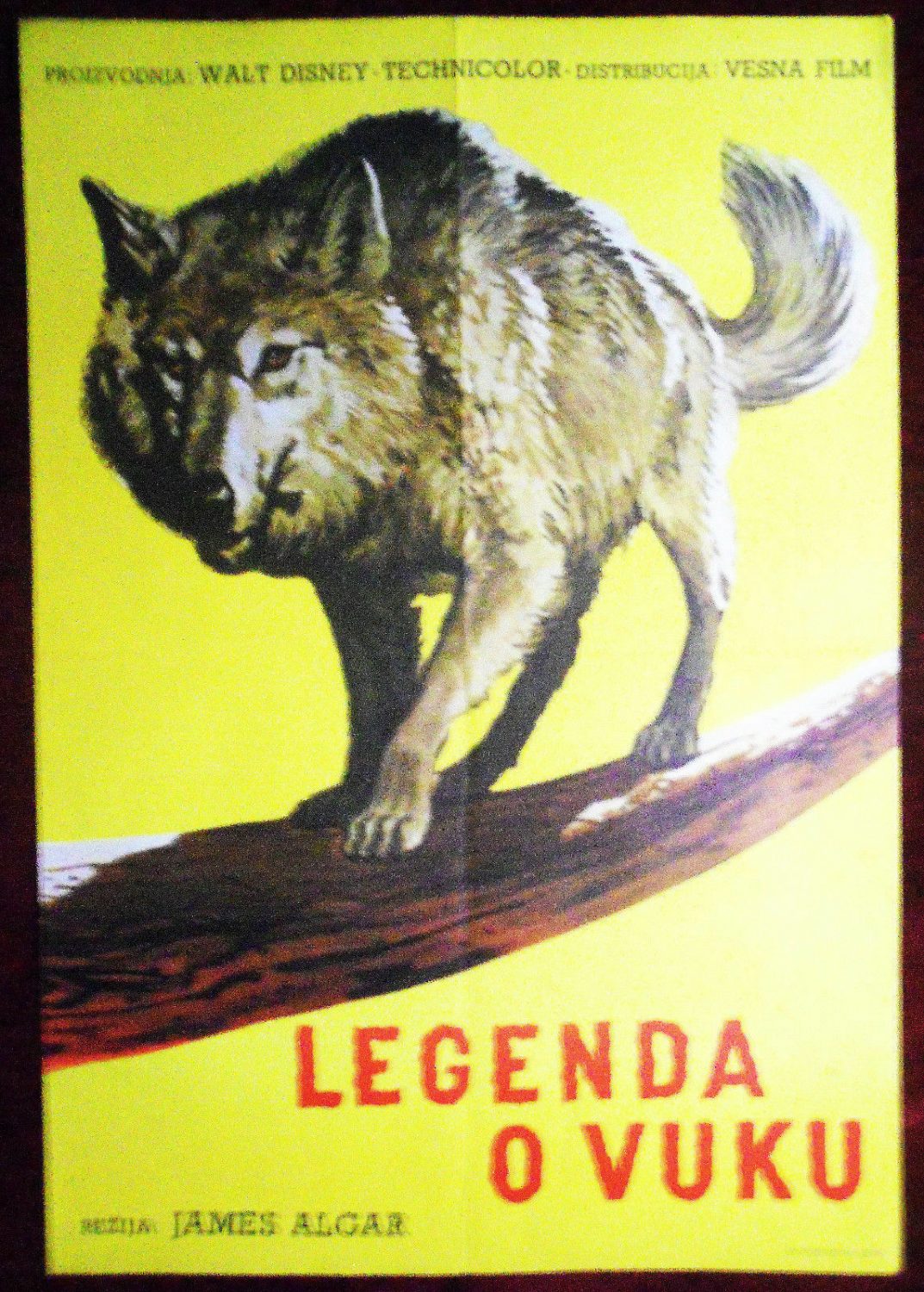 1962 Original Movie Poster Legend of Lobo Wolf Animals Walt Disney ...