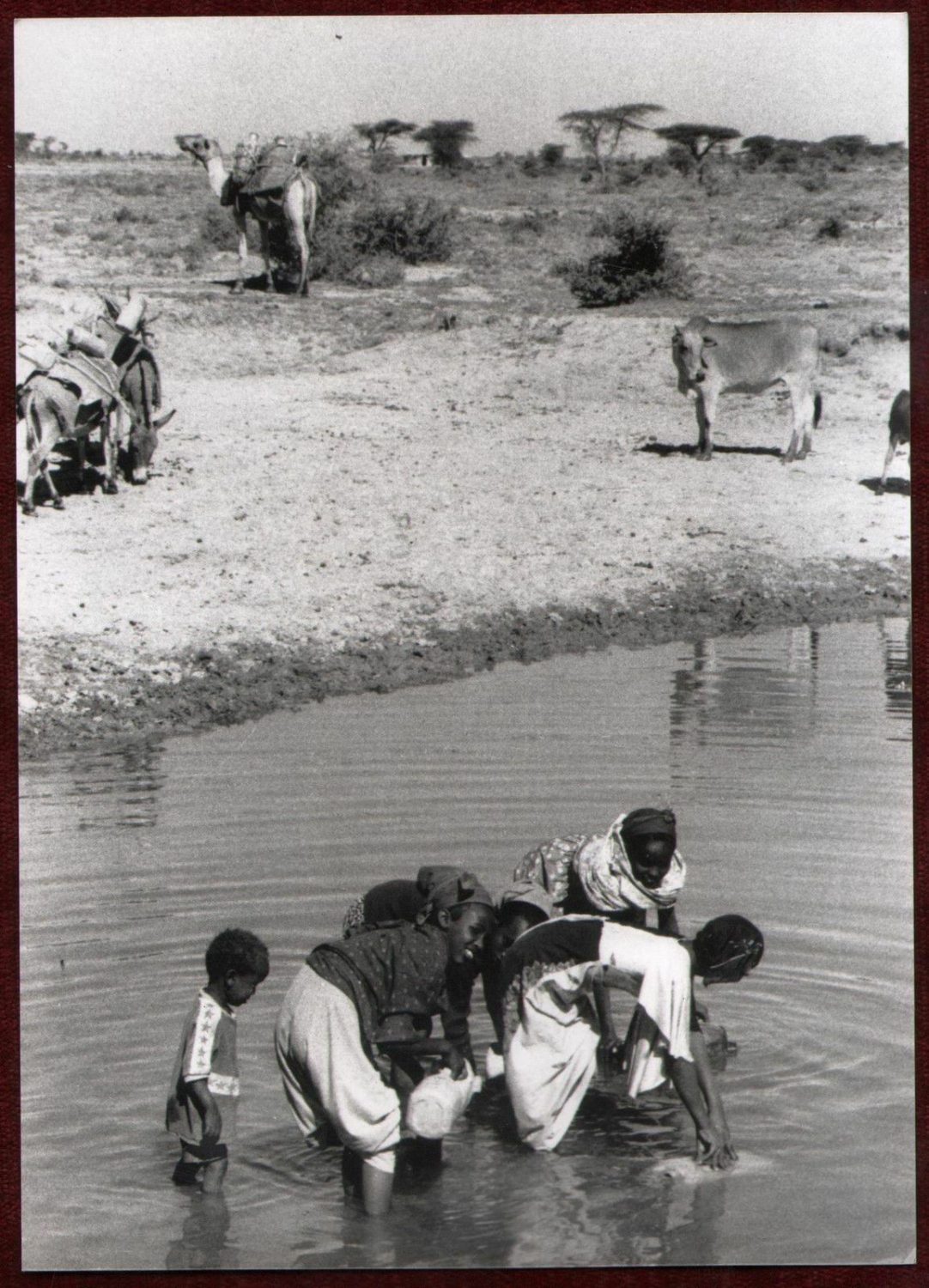 1990 Original Press Photo WHO Environmental Health Somalia Africa Water ...