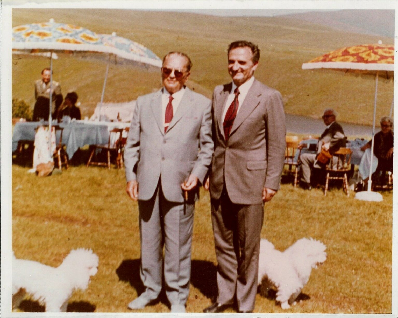 1970s Original Vintage Photo Josop Broz Tito Diplomacy SFRJ Yugoslavia ...
